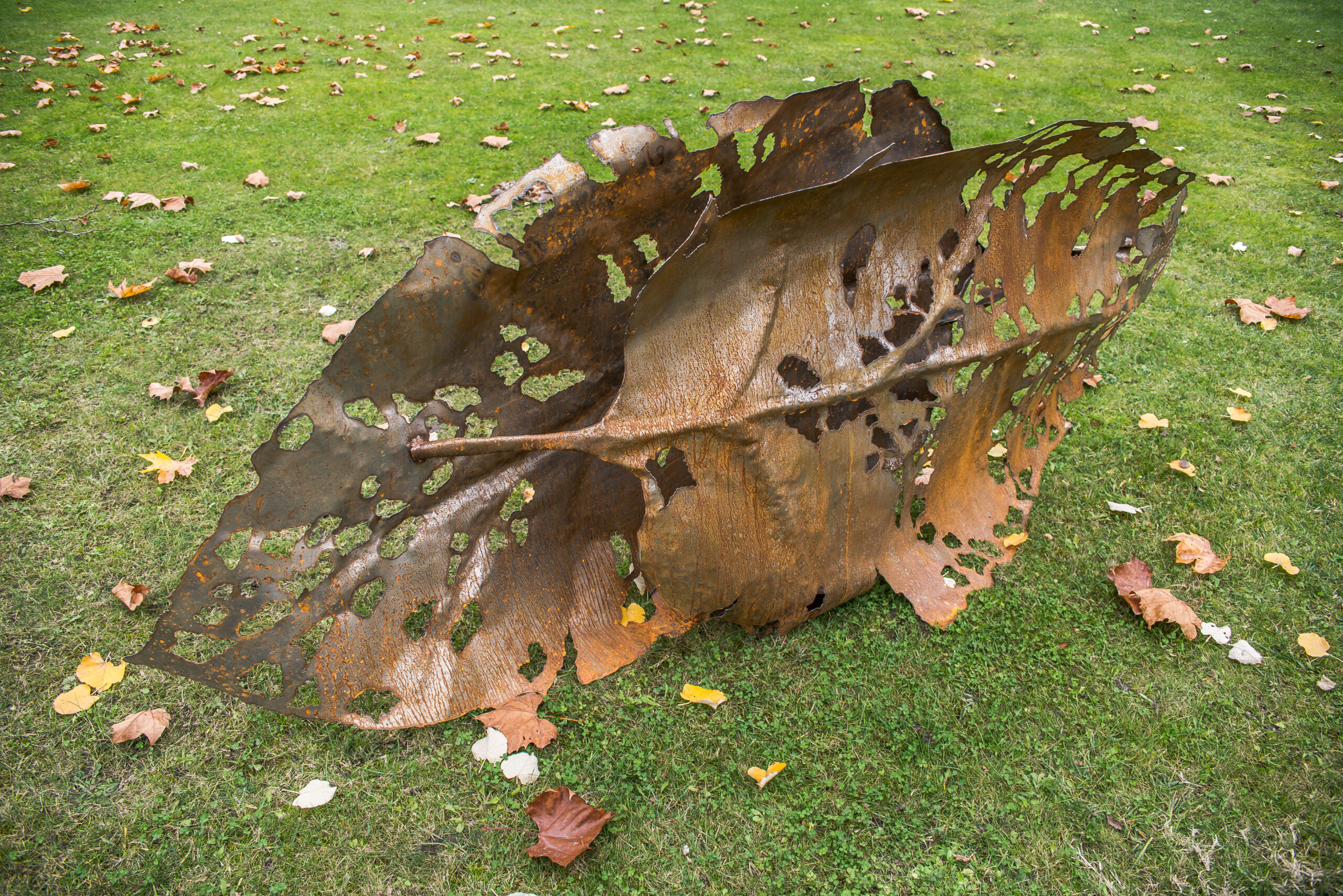 Avartánc – Pokorny Attila egyéni kiállítása a Szentendrei Régi Művésztelep kertjében ...